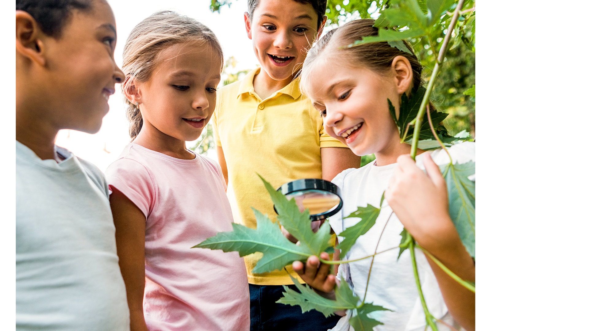 Margarete Steiff: Mutter der Kuscheltiere und Unternehmerin | Film ...