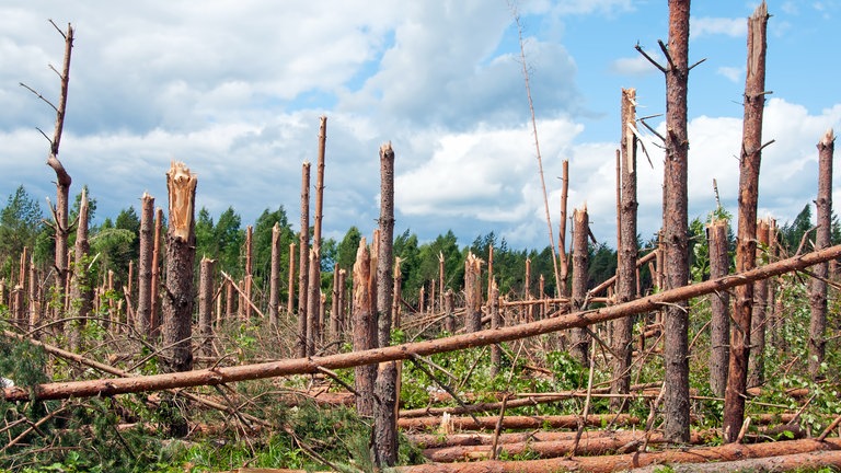 Geografie: Wie funktioniert das Windsystem der Erde? - planet schule