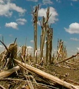 Klimawandel: Was passiert im Treibhaus Erde? | Unterricht - planet schule