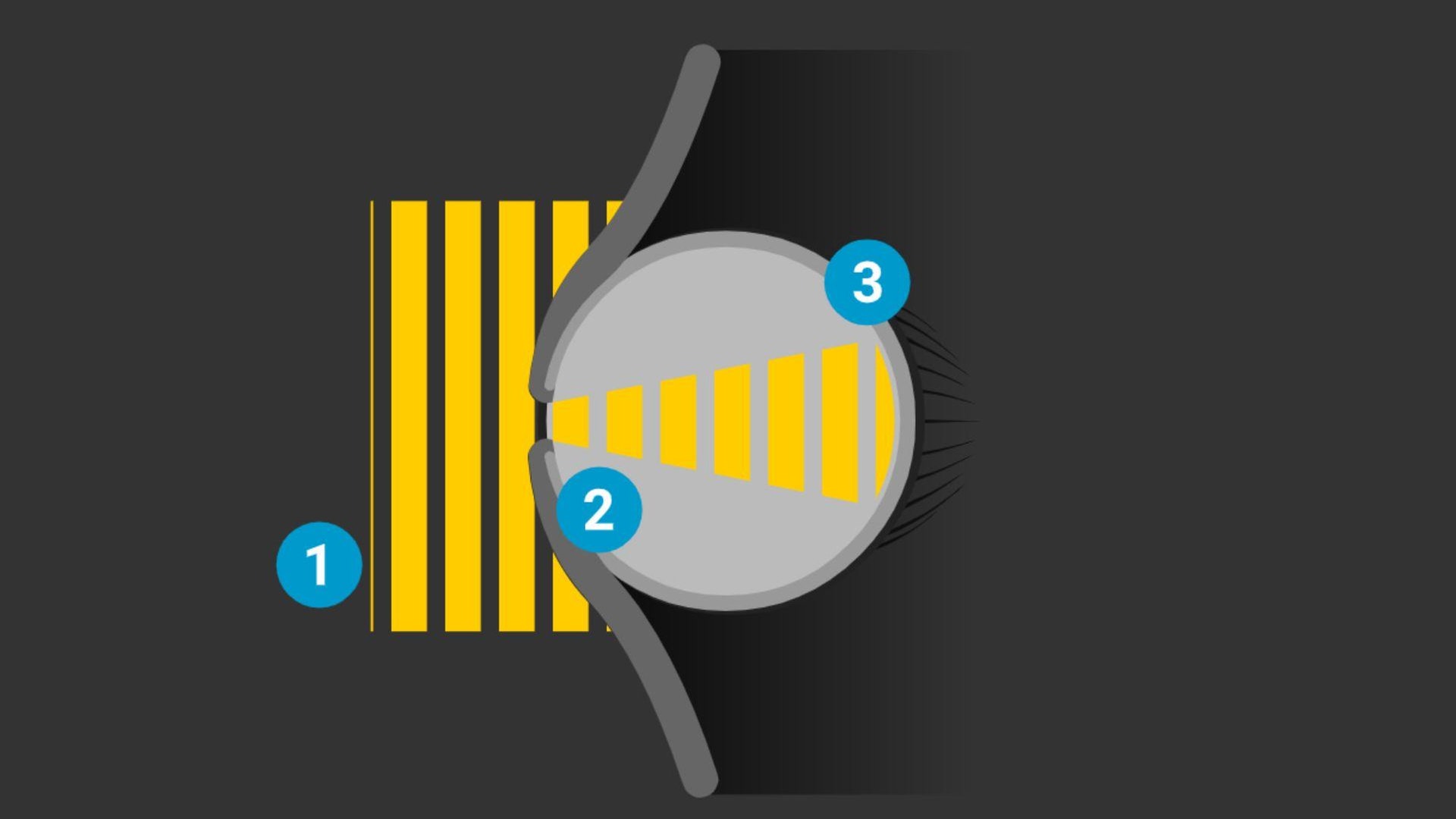 Biologie - Augenbaukasten: Wer sieht wie? | Lernspiel - planet schule