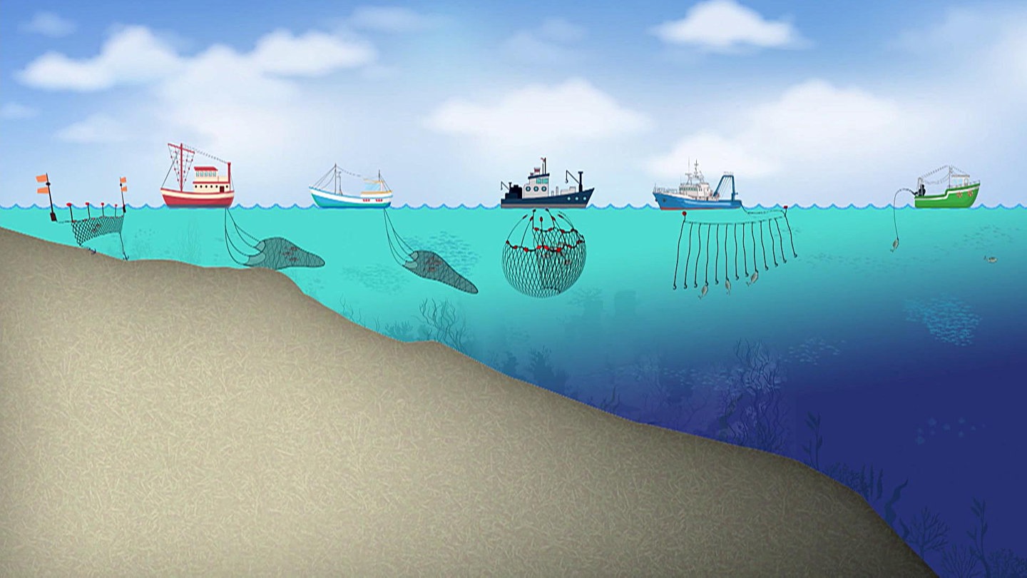 Nachhaltige Fischerei | Unterricht - planet schule