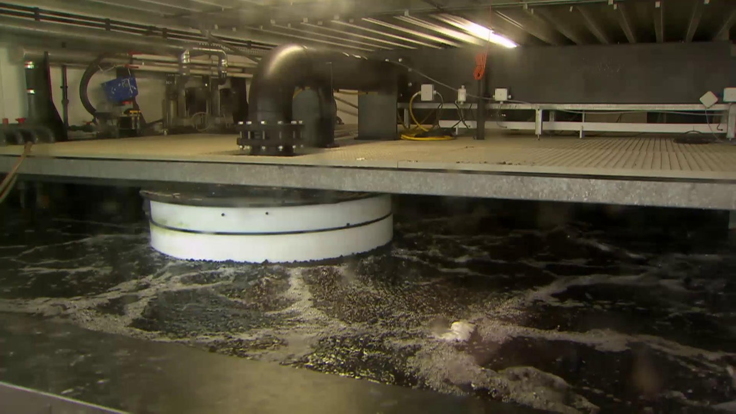 Nachhaltige Fischerei | Unterricht - planet schule