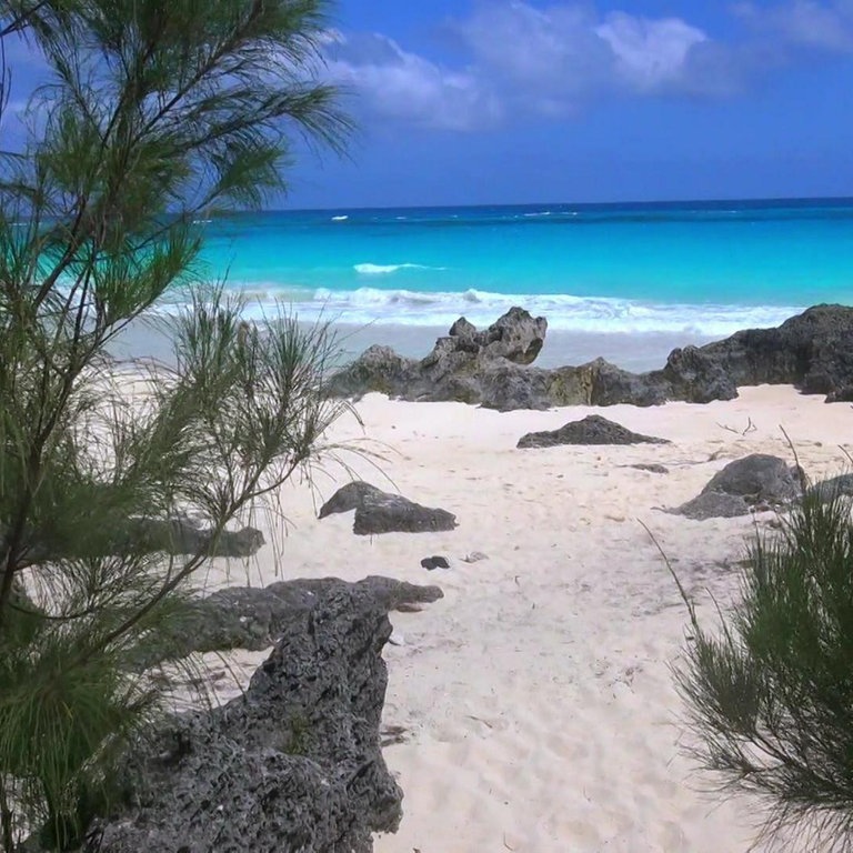 Filme und Unterrichtsmaterial von Planet Schule (WDR und SWR) - planet ...